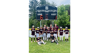 Harrison Little League > Home